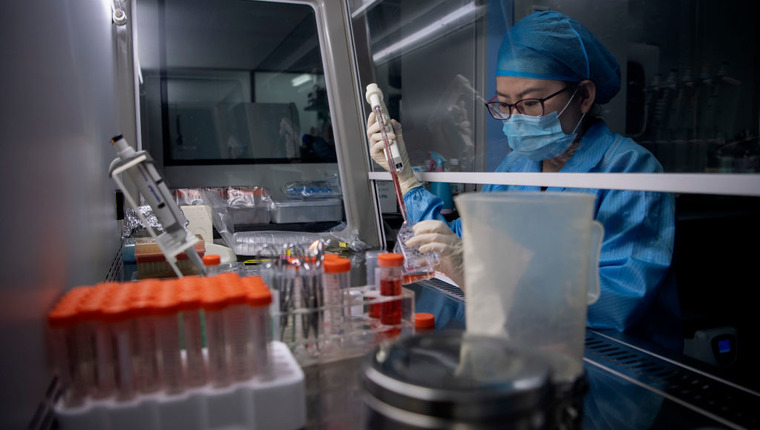 Dog Study - Page 7 of 9 - DogTime