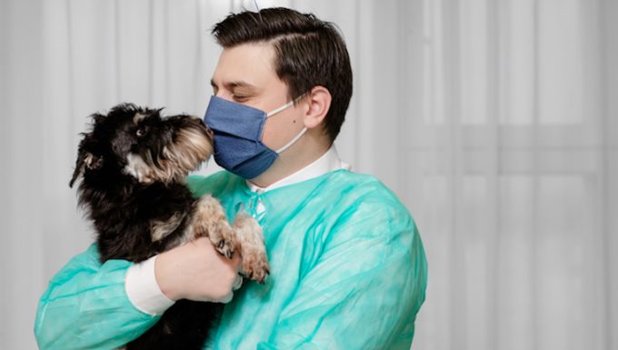 Heart Attack in Dogs: Symptoms, Causes, & Treatments - DogTime