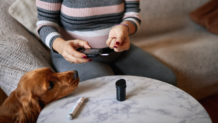 Diabetes Detection Dog Saves a Life - DogTime