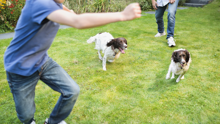 Diabetes Detection Dog Saves a Life - DogTime