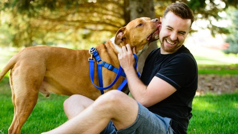 5 Ways Your Dog Shows You They Love You - DogTime