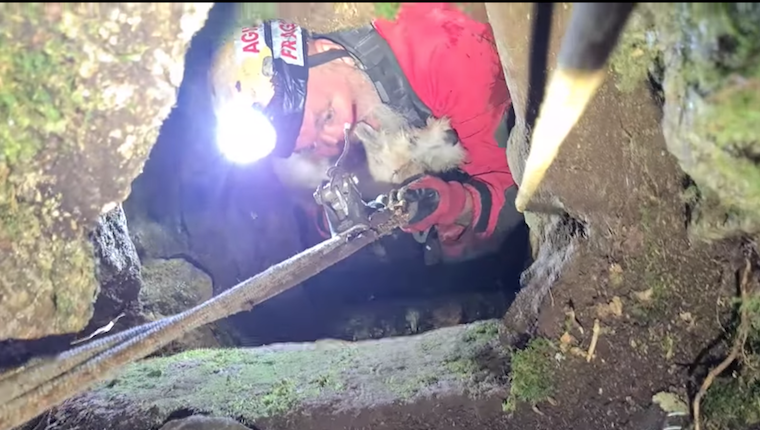 Dog Rescued After Falling Down 164-Foot Mining Hole