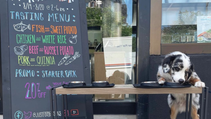 'Doggy Bodega' Opens in New York City - DogTime