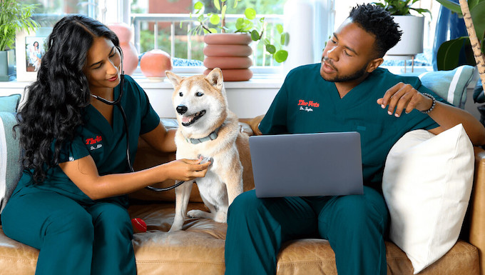 At-Home Veterinary Service 'The Vets' Expands into Los Angeles