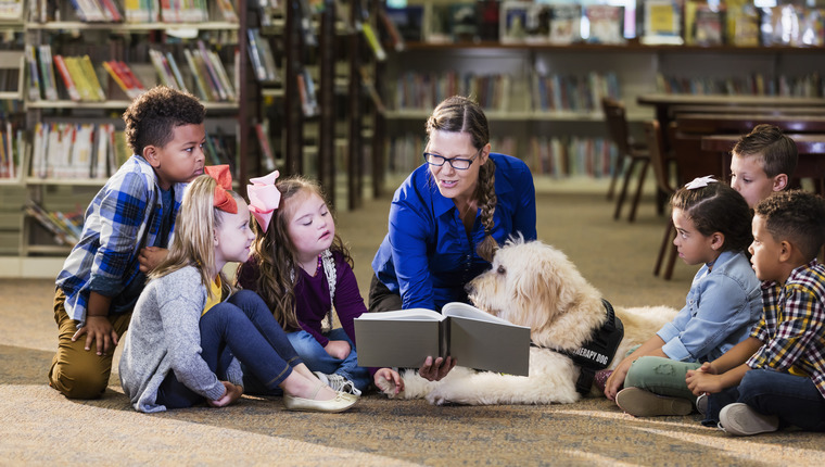 Support Dog Group Helps Students and Dogs With New Grant - DogTime