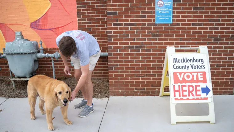 Should Dogs Be Allowed to Vote? One Man Says Yes - DogTime