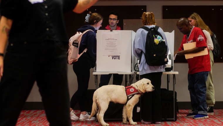 Should Dogs Be Allowed to Vote? One Man Says Yes - DogTime