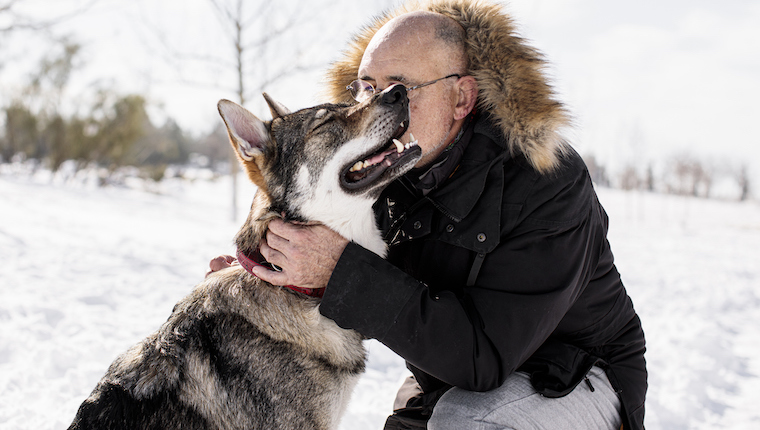 Wolves Were Man's First Best Friend. Why Did Dogs Take Their Place?