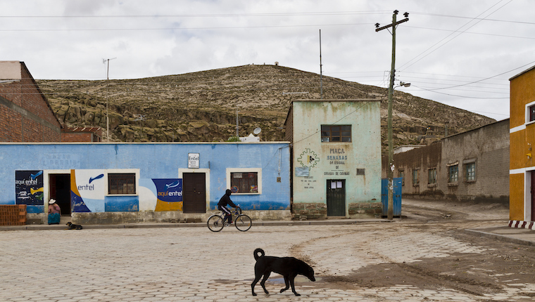 Getting Dogs in Bolivia the Essential Care They Need - DogTime