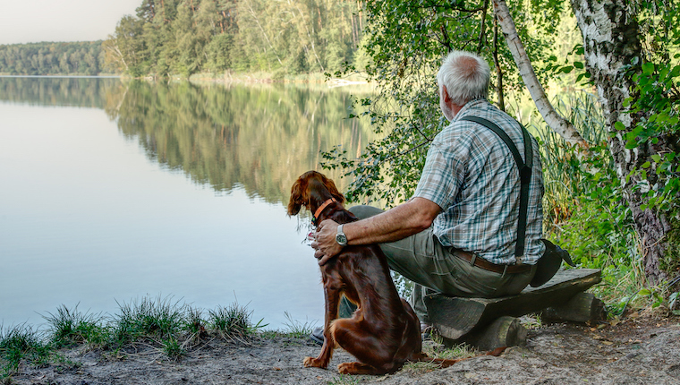 Grandpa Drives Stray Dog 1250 Miles To Surprise Grandkids - DogTime