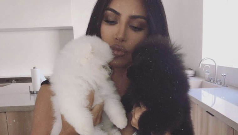 PETA Raise Concerns Over Kim Kardashian's Dogs After TikTok - DogTime