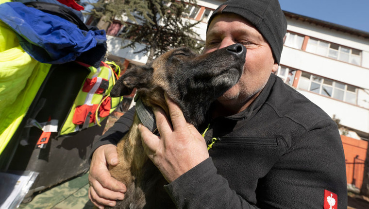 Animal Welfare Group Leads Rescue Efforts in Turkey