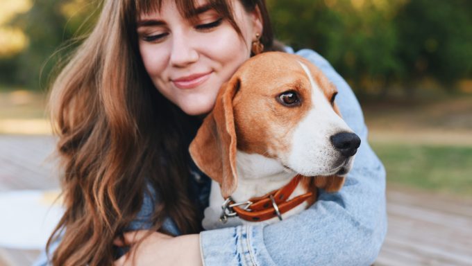 Missing Beagle Found 1,000 Miles Away From Kansas Home