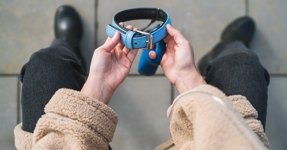 Seven Ways to Manage Grief After the Loss of a Pet