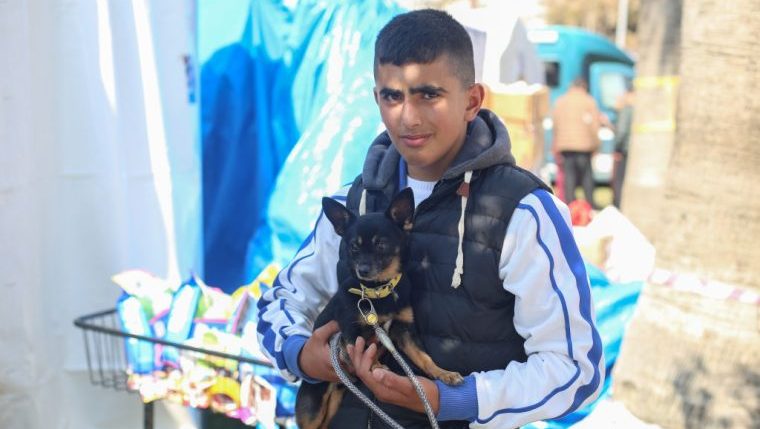 Rescuers Still Saving Dogs From Rubble 2 Weeks After Turkey Earthquake