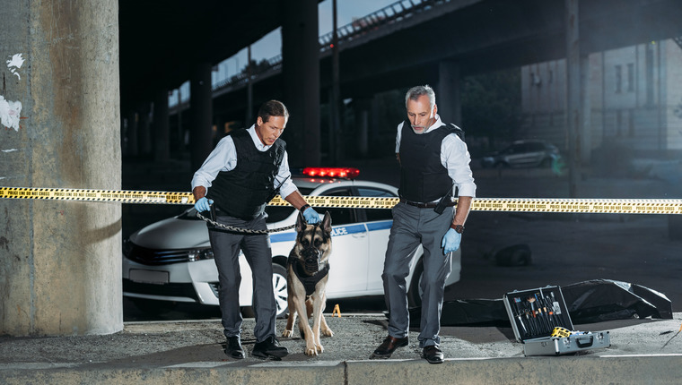 Cadaver Dogs Create Historical Breakthroughs - DogTime