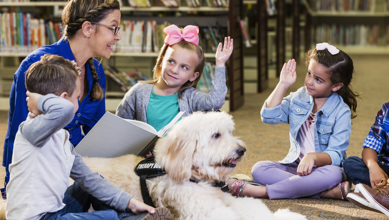 The Rise of Therapy Dogs and Where You Might Find Them - DogTime