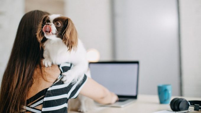 The Pros and Cons of Bringing Your Dog to Work - DogTime
