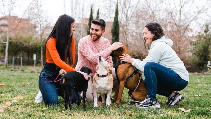 How to Politely Confront Someone You Think Is a Bad Dog Owner