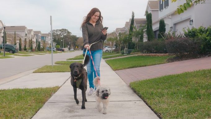 Wag! vs. Rover: Which App Is Better for Dog Walkers? - DogTime