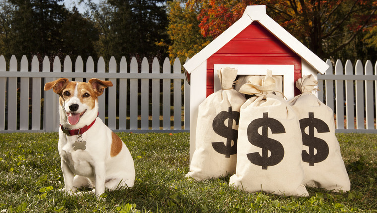 Richest Dogs in the World From Conchita to Jiffpom - DogTime