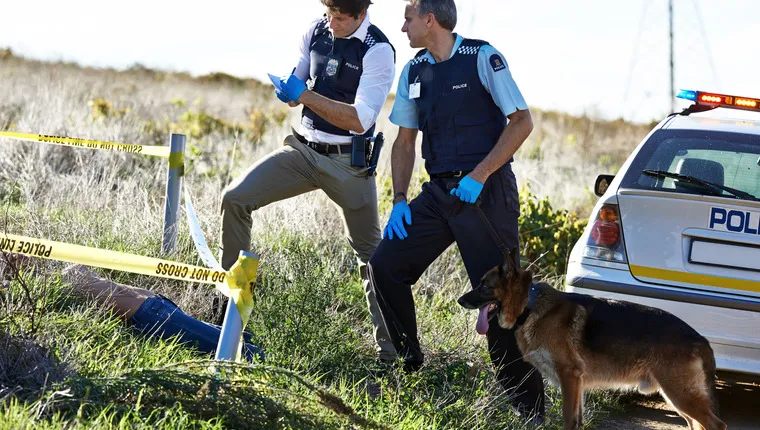 Cadaver Dogs Create Historical Breakthroughs - DogTime