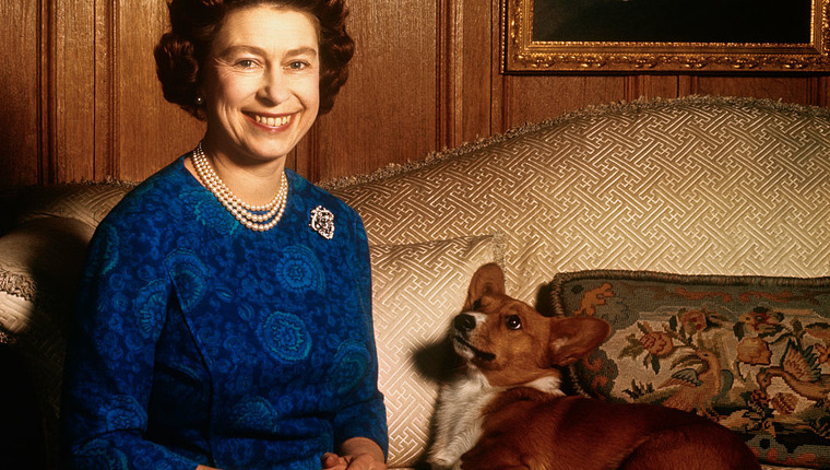 Queen Elizabeth II's Corgi and Dorgi Family Tree - DogTime