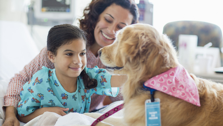 Good Start to Assistance Dogs Project in Portuguese Hospital - DogTime