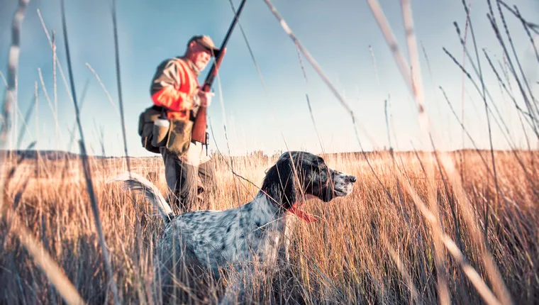 Dog Owner Seeks Action for SC Hunting Law - DogTime