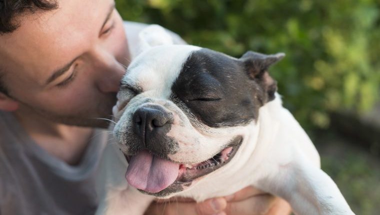 Ralphie the Demon Dog Working With New Trainer