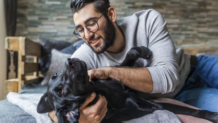 New Survey on Dog Owners Shows Generational Differences