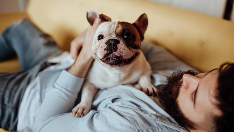 Ralphie the ‘Demon Dog’ Adopted for Fourth Time - DogTime