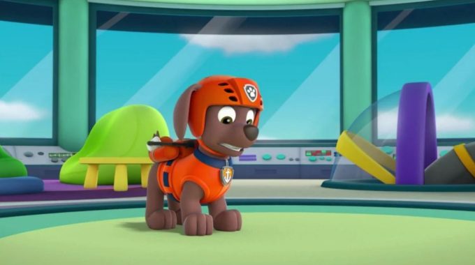 What Are the Dog Breeds of the Paw Patrol Characters? - DogTime