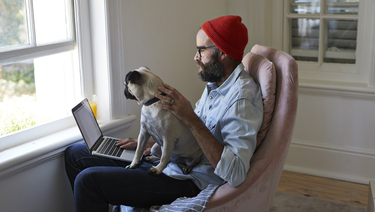 The Best Dog Breeds for Remote Workers - DogTime