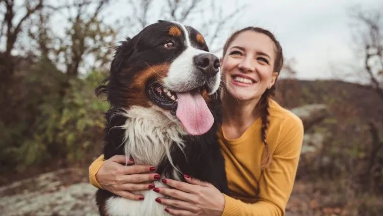 The Best Dog Breeds for Taurus Dog Lovers - DogTime