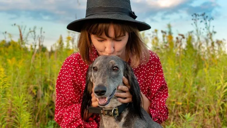 The Best Dog Breeds for Leo Dog Lovers - DogTime