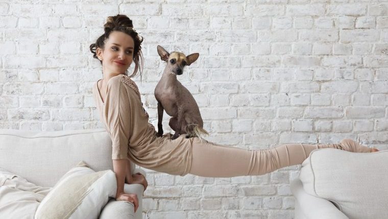 The Best Dog Breeds for Libra Dog Lovers - DogTime