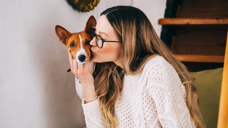 The Best Dog Breeds for Sagittarius Dog Lovers - DogTime