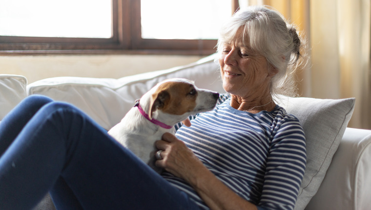 5 Reasons Why Retirees Should Adopt a Dog - DogTime
