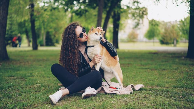 The Best Dog Breeds for Scorpio Dog Lovers - DogTime