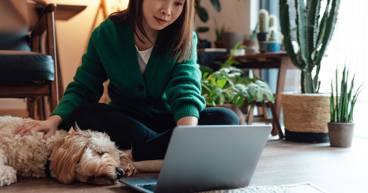 The Best Dog Breeds for Remote Workers