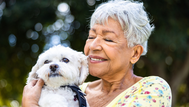 5 Reasons Why Retirees Should Adopt a Dog - DogTime