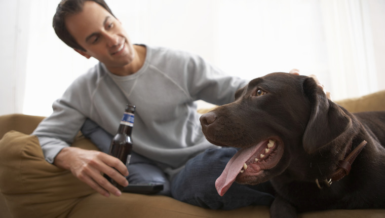 Shelter Dog Shows Signs of Alcohol Withdrawal - DogTime