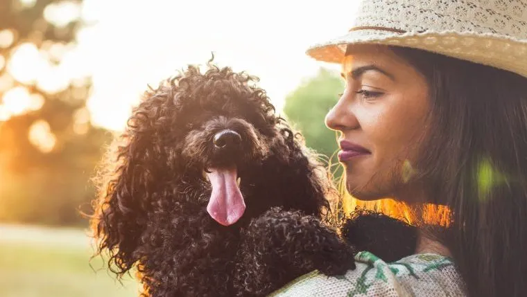 The Best Dog Breeds for a Pisces Dog Lover - DogTime