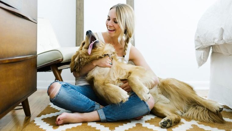 The Best Dog Breeds for an Aquarius Dog Lover - DogTime