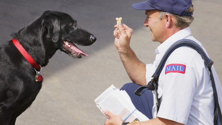 Dog Pepper-sprayed by Mail Carrier in Montana - DogTime