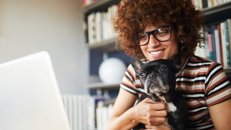 Best Low-maintenance Dog Breeds for Busy People - DogTime