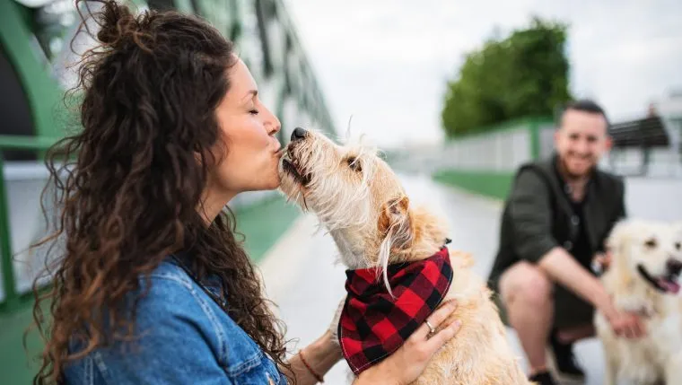 Study Reveals Where the Best (And Worst) Dog Owners Live - DogTime