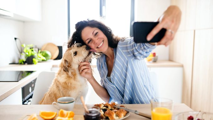 How to Build Your Dog's Social Media Presence