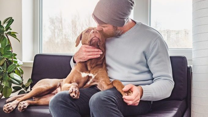 The Top Reasons People Surrender Dogs - DogTime